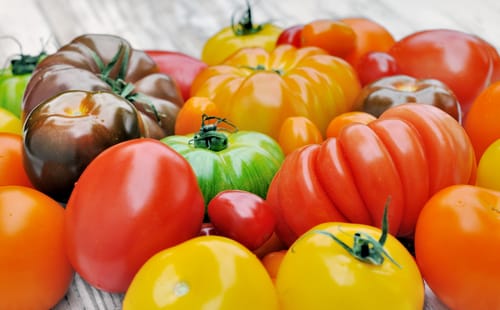 Recette Tomates multicolores en mille-feuille de mozzarella, tuile de ...